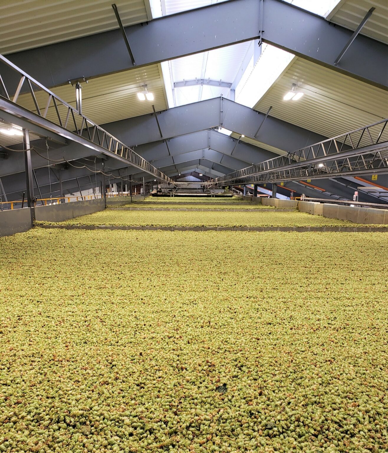 A Bulk Seed & Crop Storage Success Story | PBS Buildings